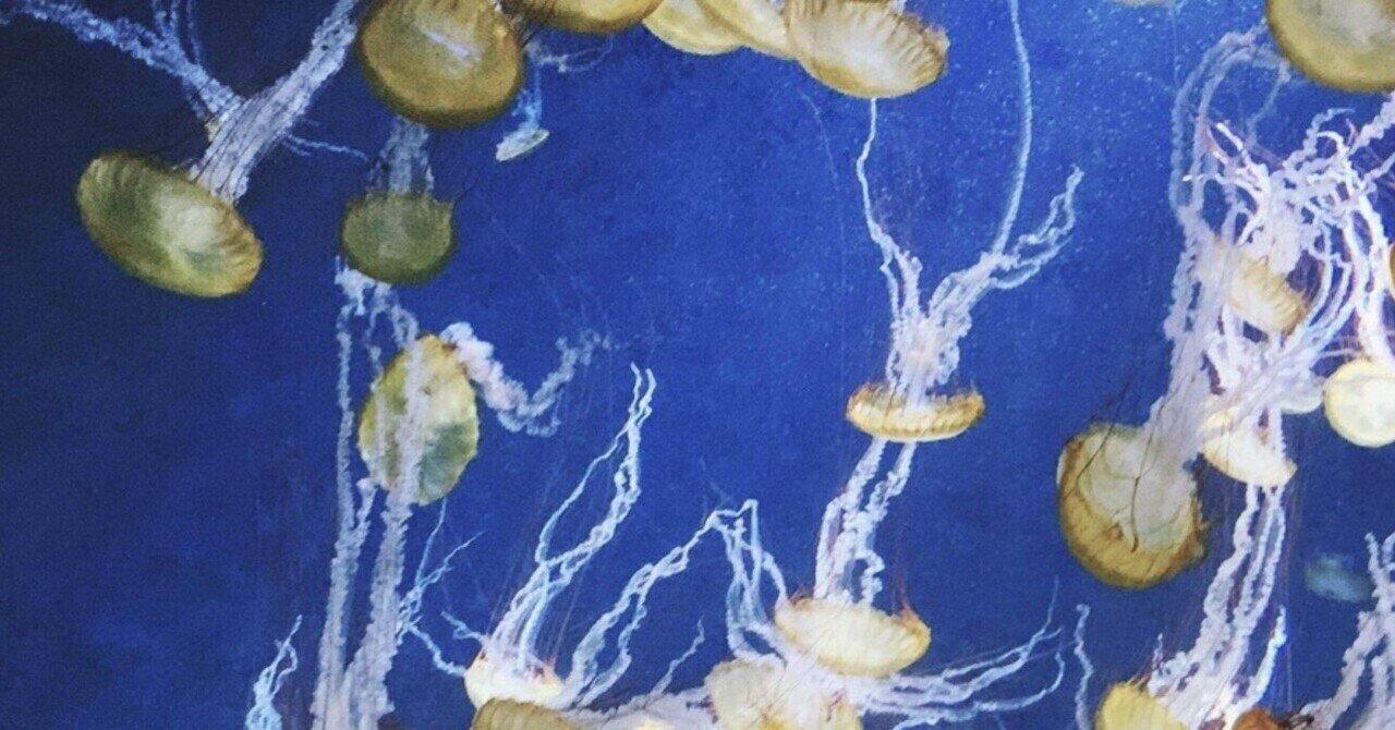 Day40 そんな日もある｜neomiz