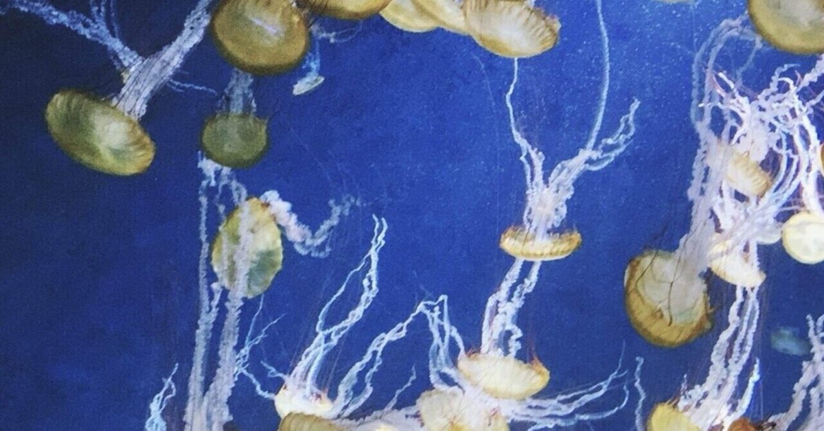 Day40 そんな日もある｜neomiz