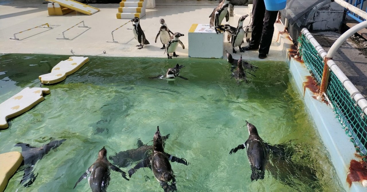 shintaro_hanada｜note