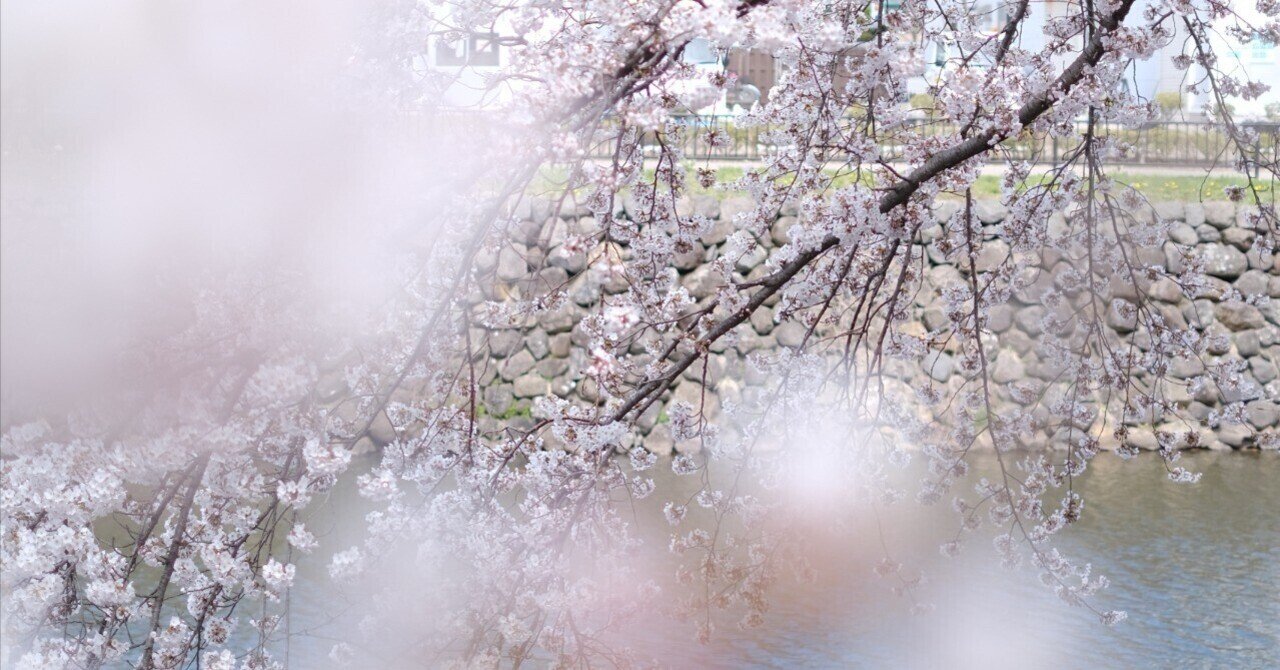 日記 今日のジモティ｜ozaki kosuke