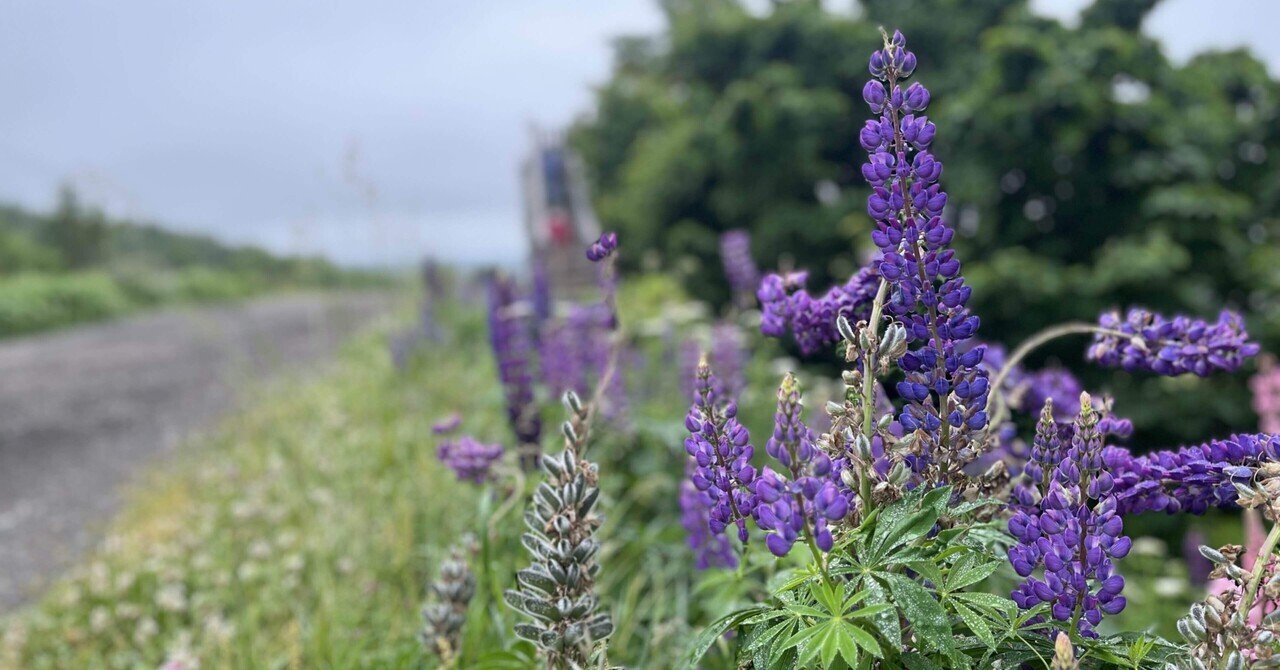 Mika Endo｜ライター｜note