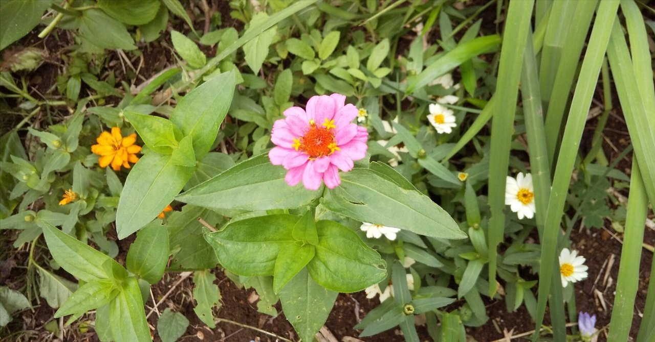 空間、音のパーソナルスペースと感覚過敏の話～ヨガ哲学的な解釈｜Mi Yoga Yinside 女性のための陰ヨガ×インドの伝統ヨガ×アーユルヴェーダ