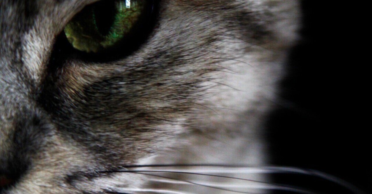 蒲郡7R 17:56【自信度SSS】7月3日｜🔥爆笑くんの競艇予想🔥