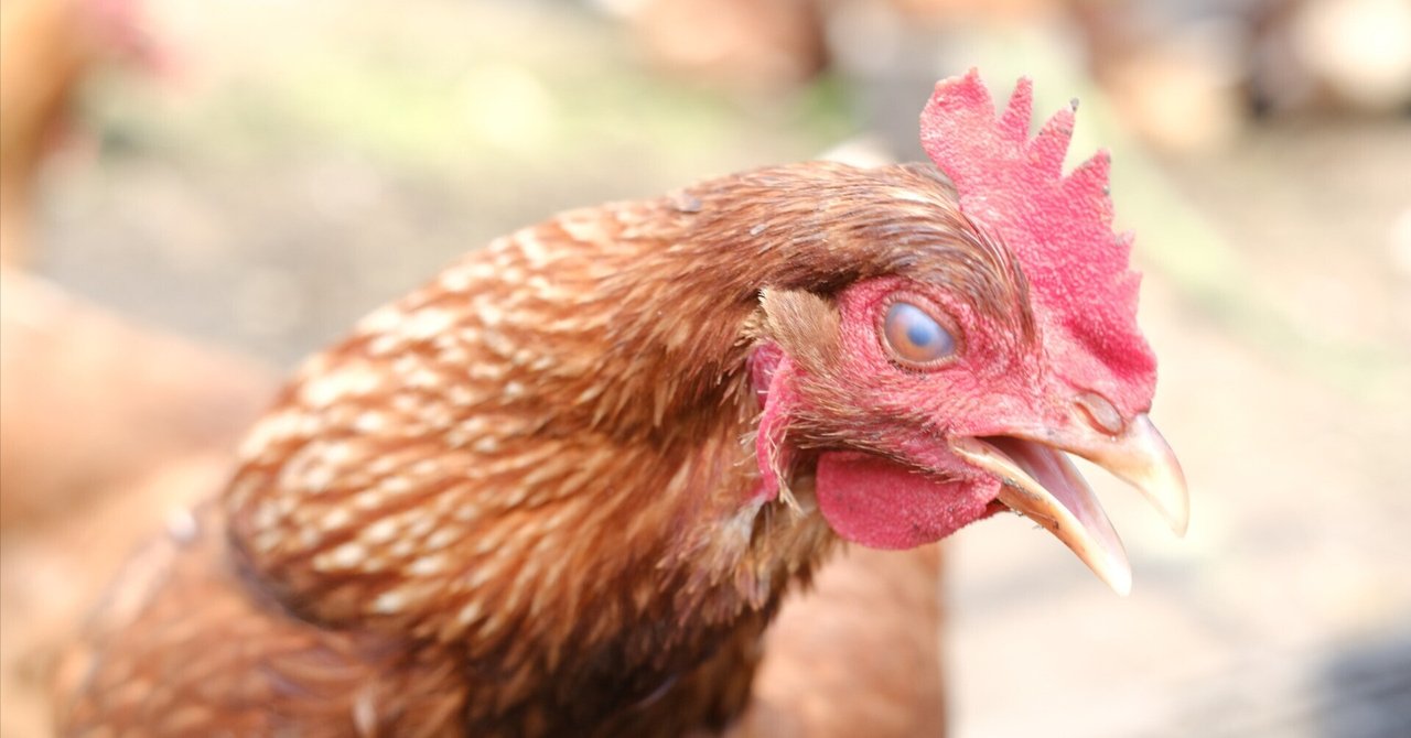 日記 今日の出来事｜ozaki kosuke