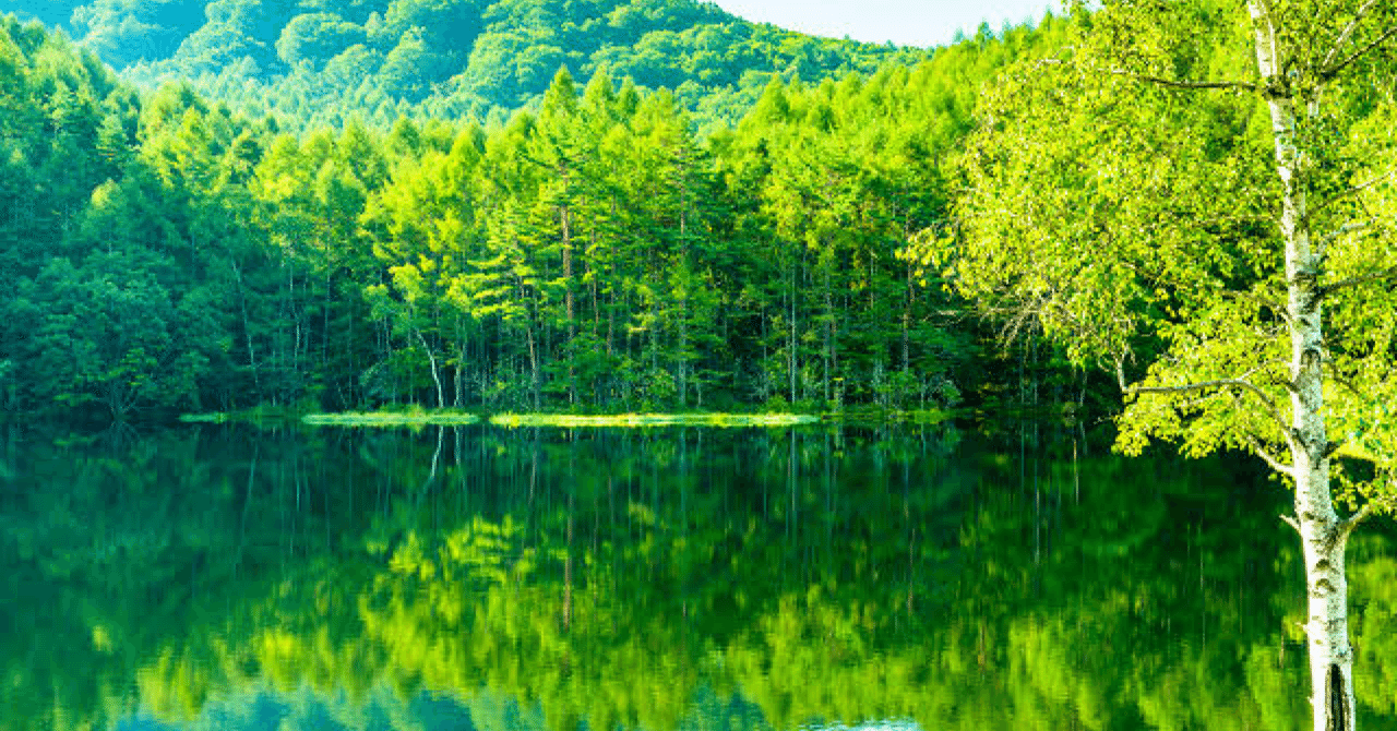 短編小説「うつくしい池」｜RINO║本と言葉のキロク🐩