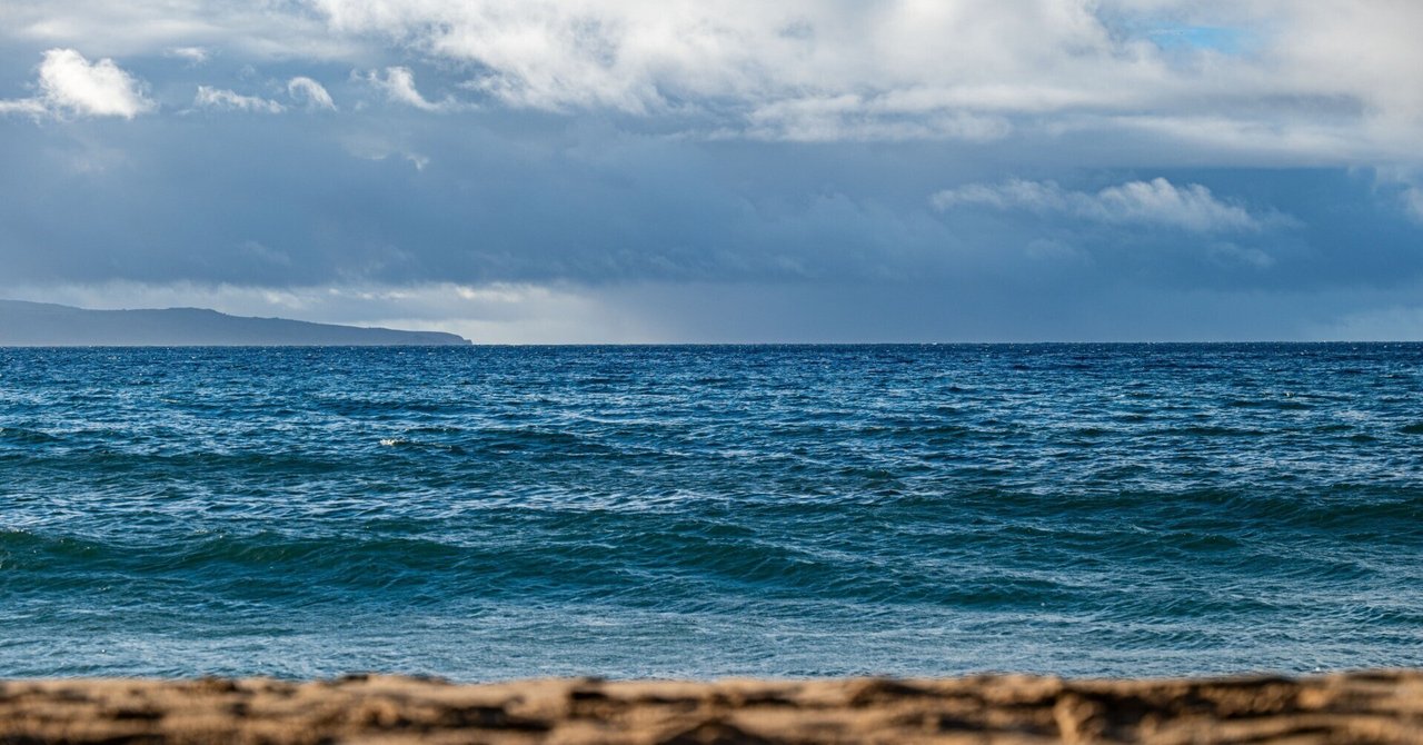 【Day 16】期待のバランス｜Kako