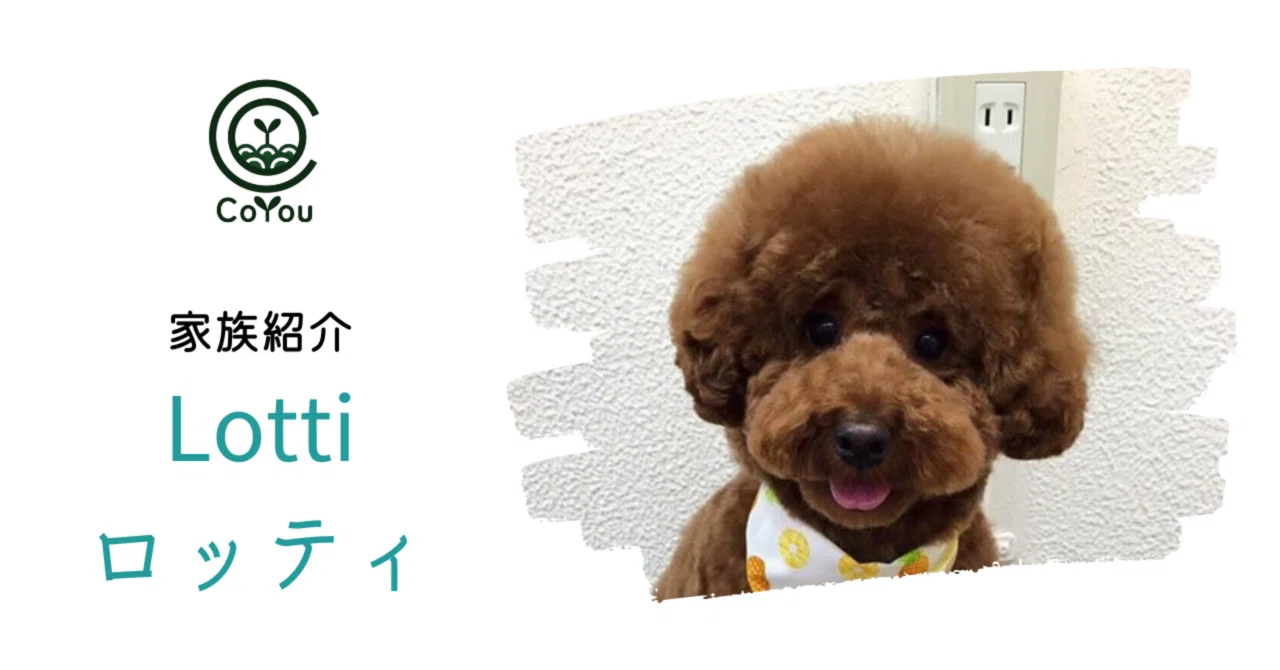 家族について｜CoYou