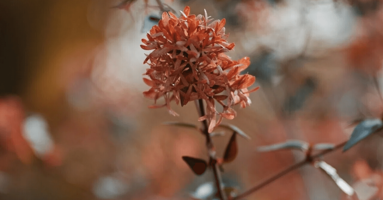 「紳士的な振る舞い」について思うこと｜resiny