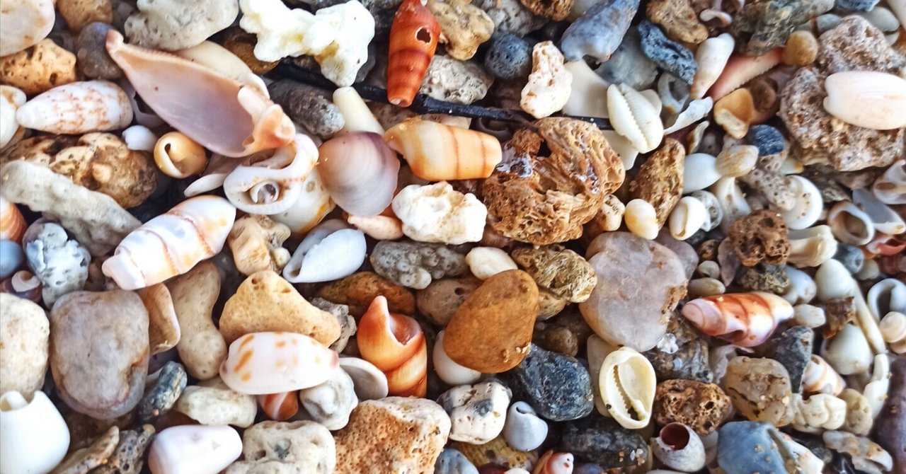 せっかく南国にいるんだから｜J M Chieko