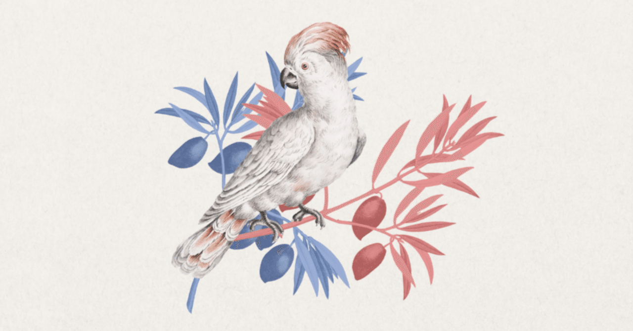 メディテーションボディワークご感想 vol.1｜kyna miwako