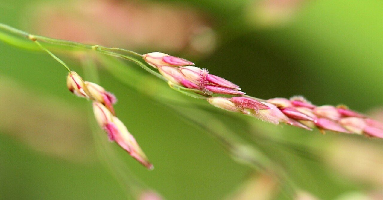 12月8日…従順｜taku