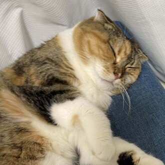 yoshi_ゴールドトレーダー｜note