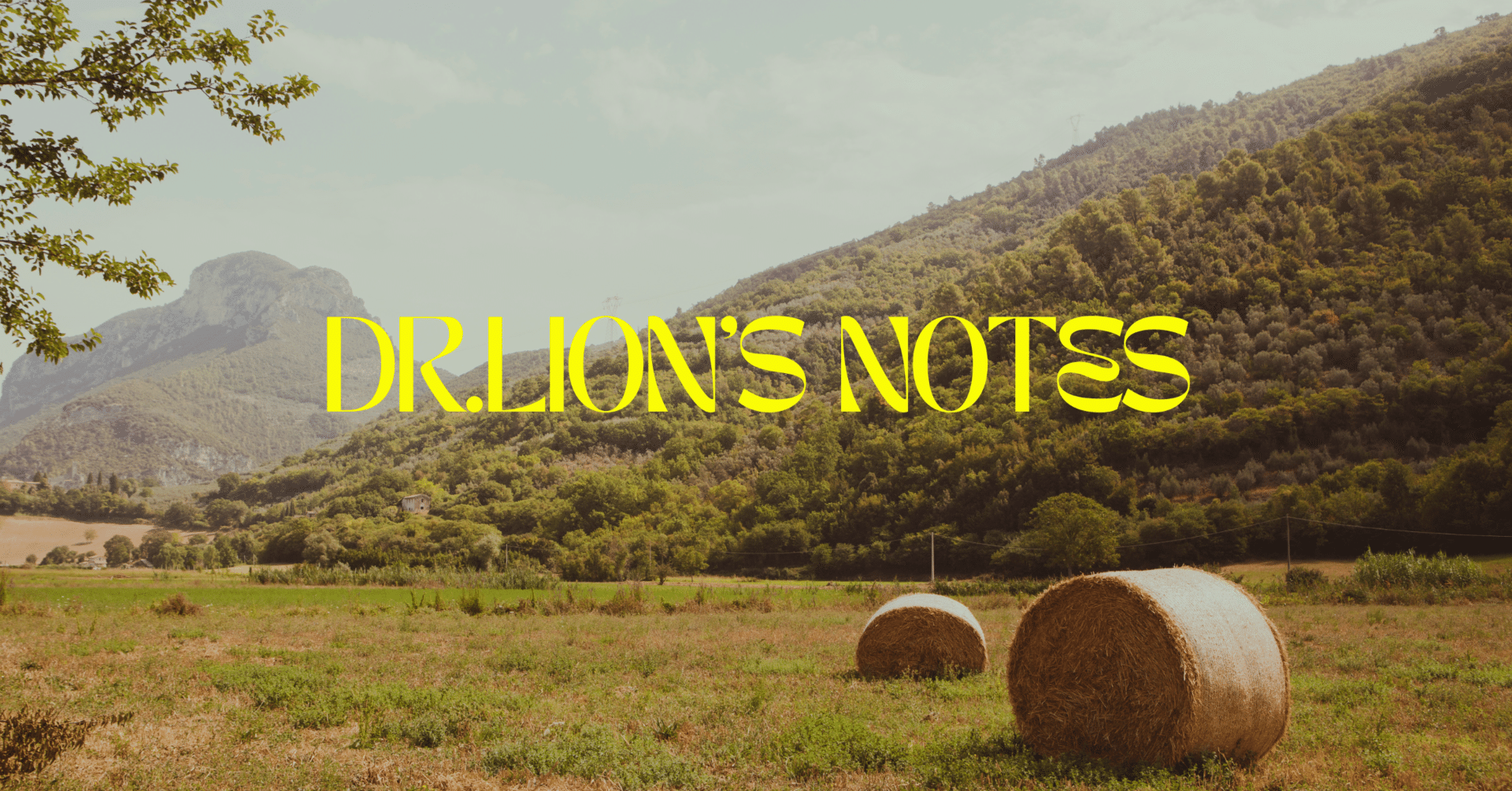 Dr. LION｜note