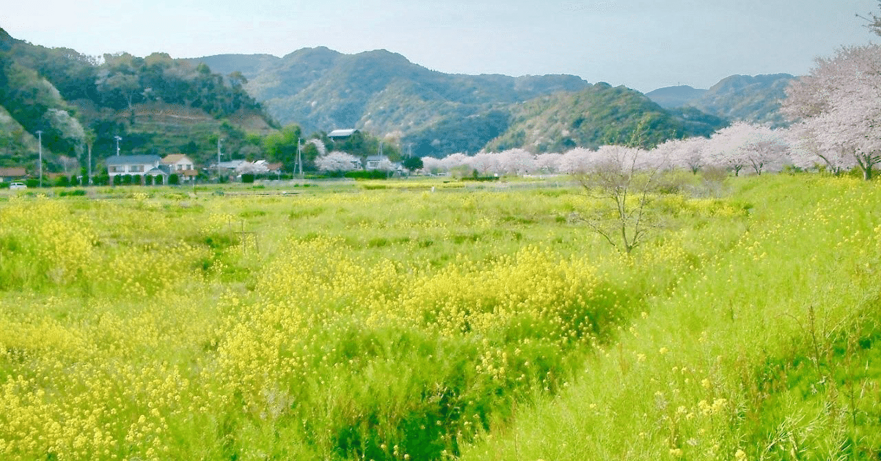 鈴々堂/rinrin_dou@昭真｜note