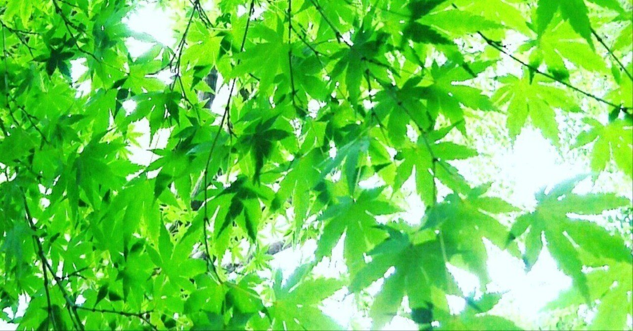 「言葉」という言葉｜furuko