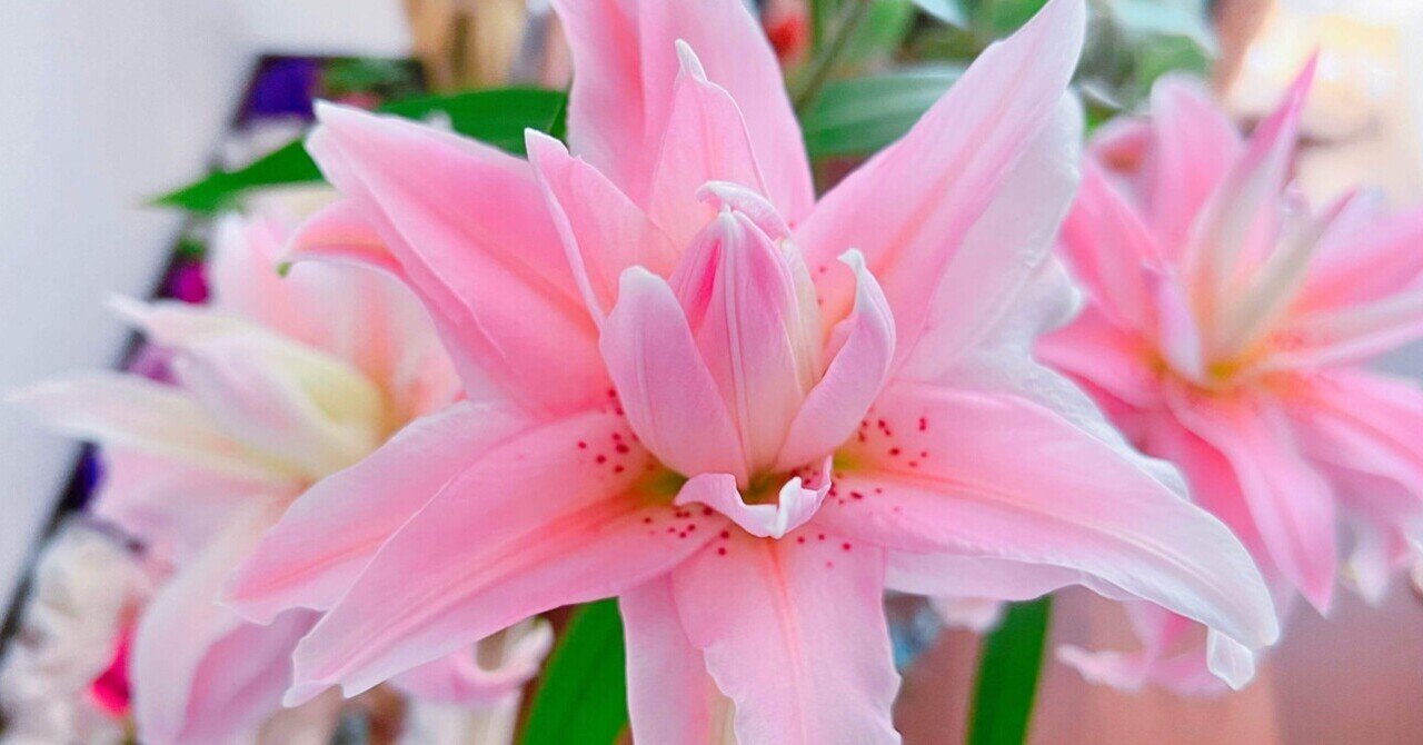 脳出血〜食事が摂れた！｜Salvatore 桃華 Akemi