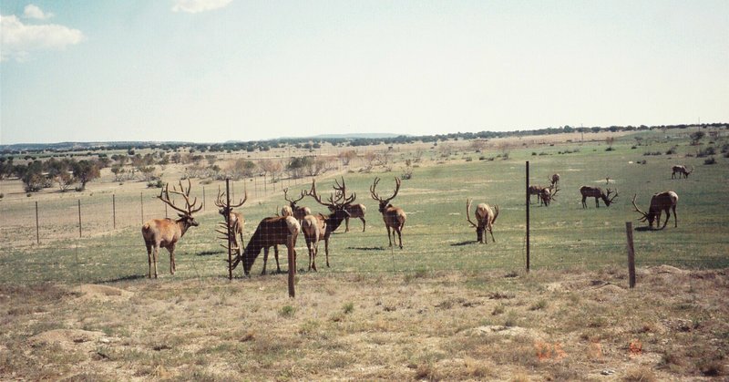 kiyoshi【鉄馬旅人】｜note