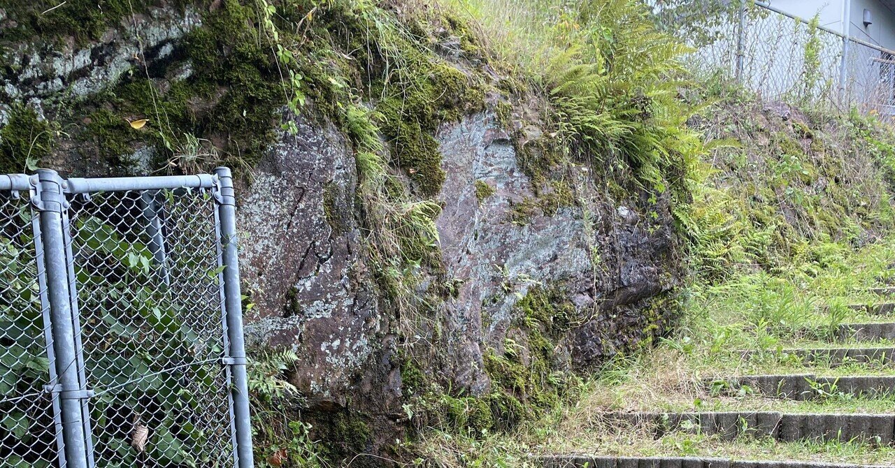 #2 igi_labo活動 階段掃除｜Igi_labo