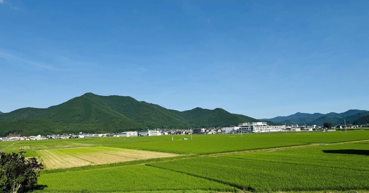 自動車教習所日記(2024年7月6日)｜Rena＠サハラ砂漠