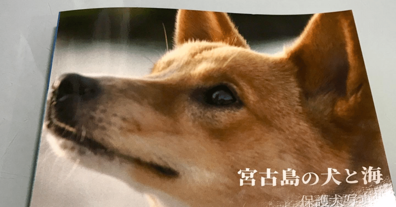 「kindle写真集の出版サポート」という仕事は需要があるだろうか｜Taichi Era