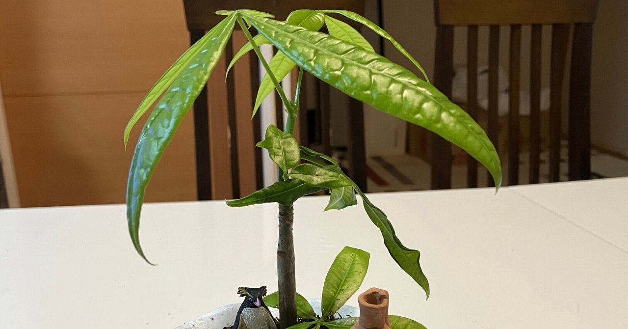 ふと・・・思う｜poporin