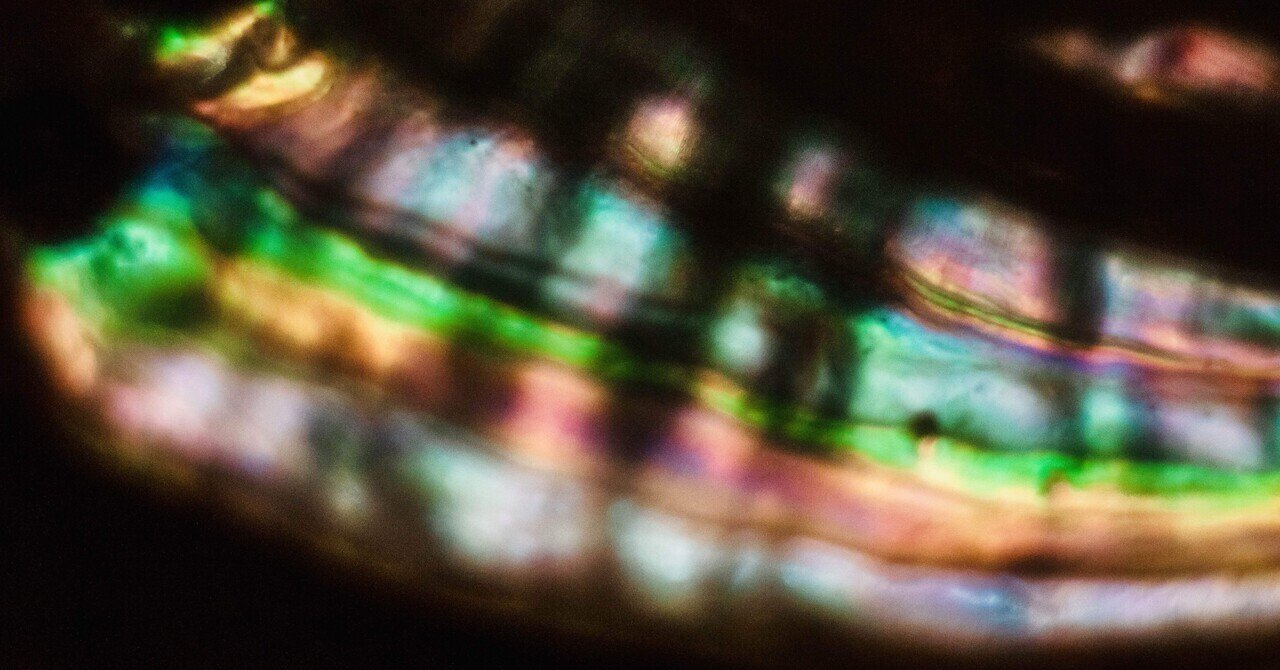 kuno_yasuhiro｜note