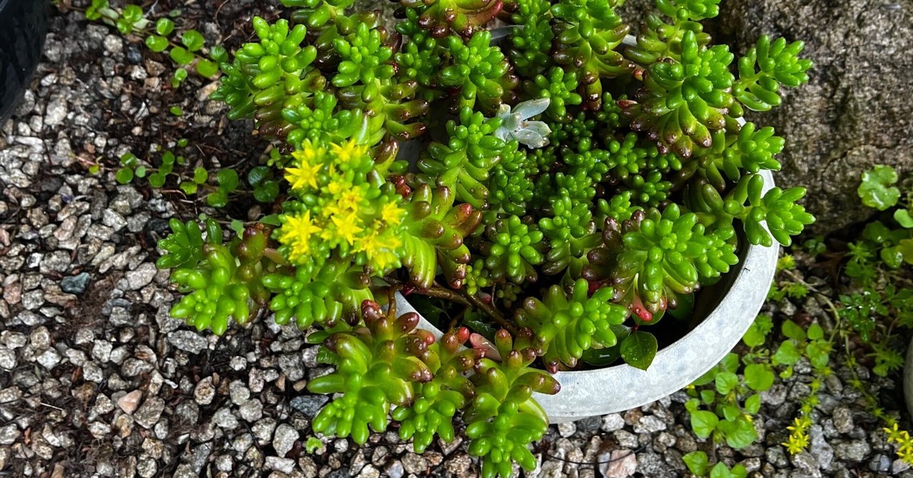 niwaijiri_ken｜note