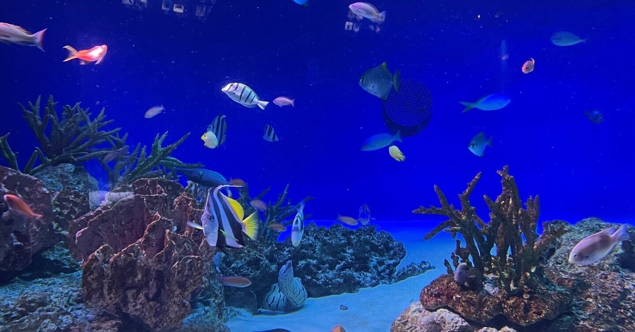 恋活 現状｜私たちの性と愛〜 Sensual Exchange Diary〜