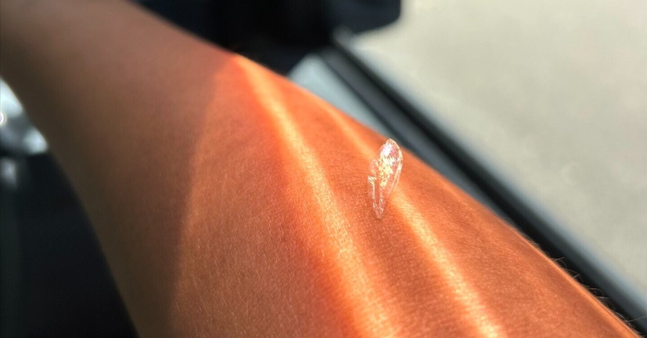 Chiaki Kamuki｜note