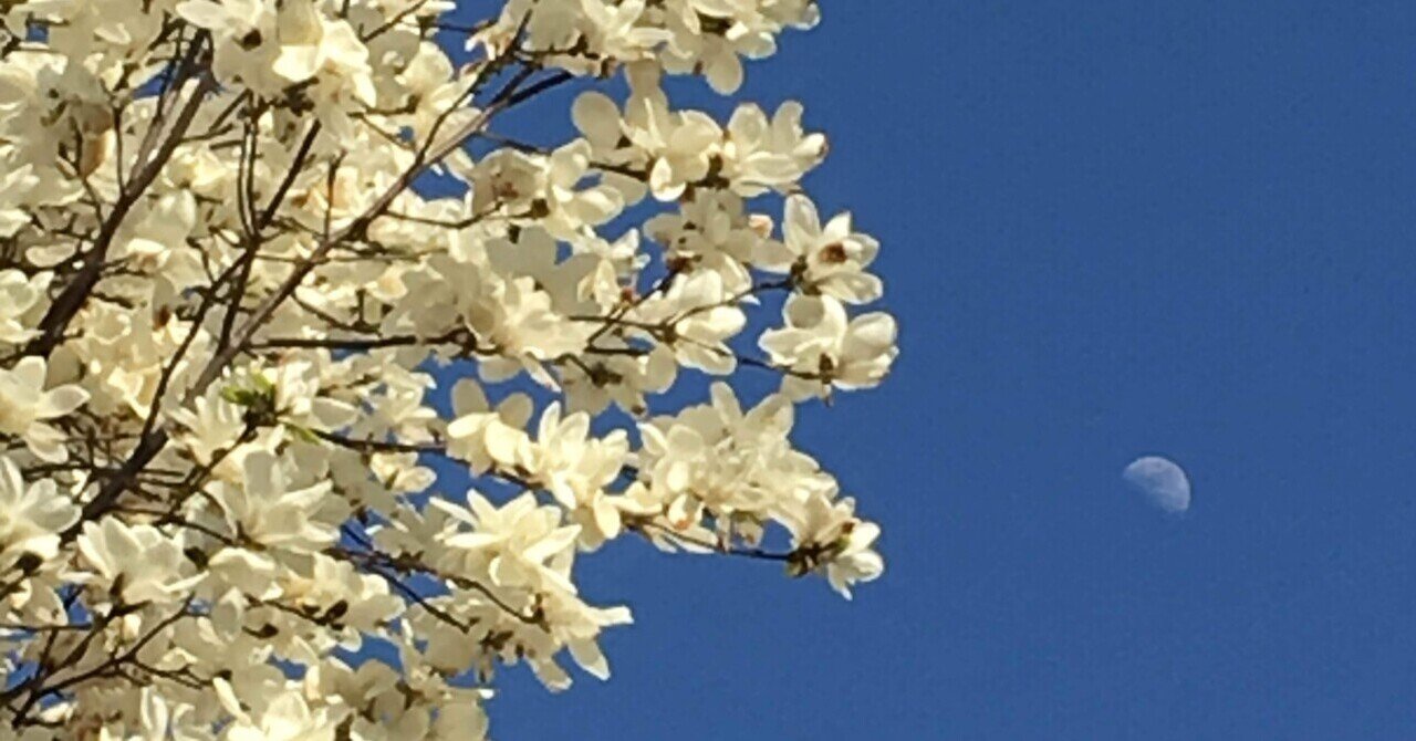 yuzuki-pengel｜note