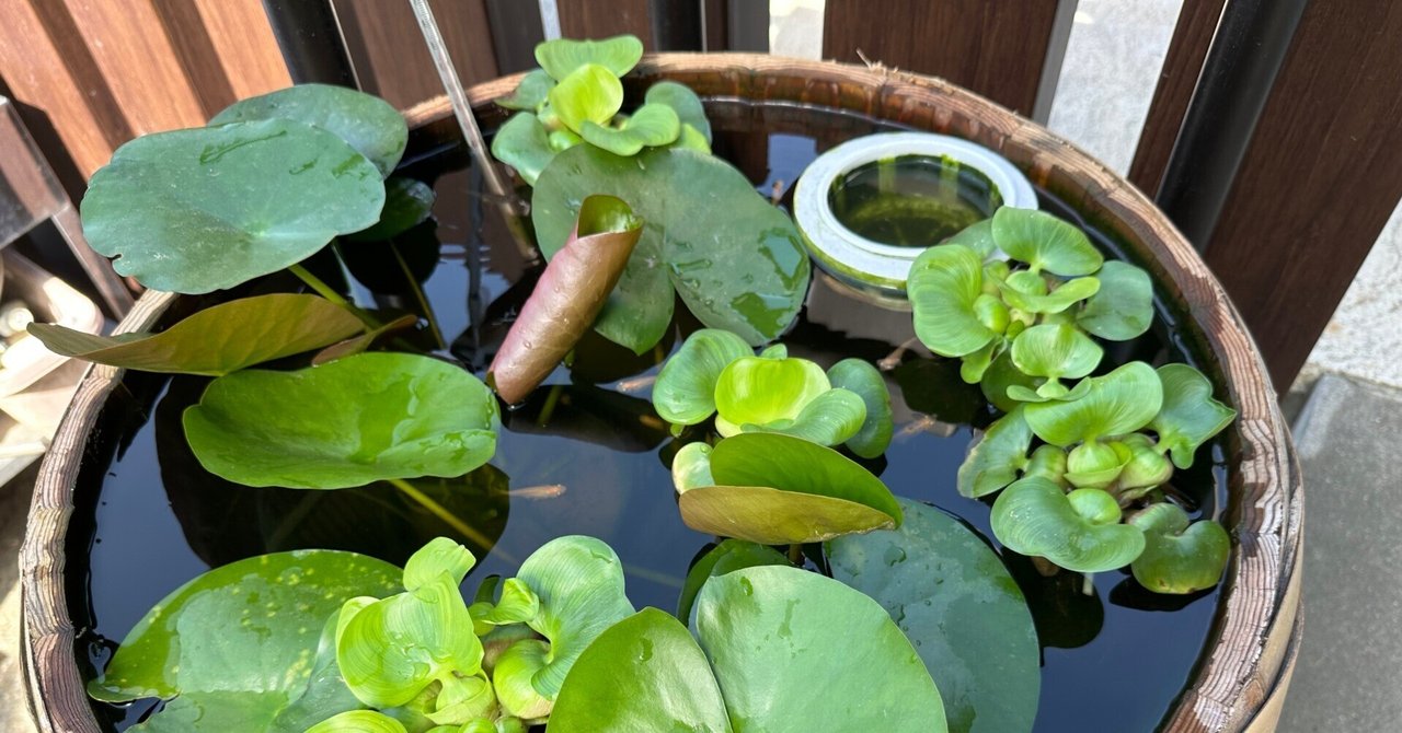 NicePapa 平野 尚志｜note