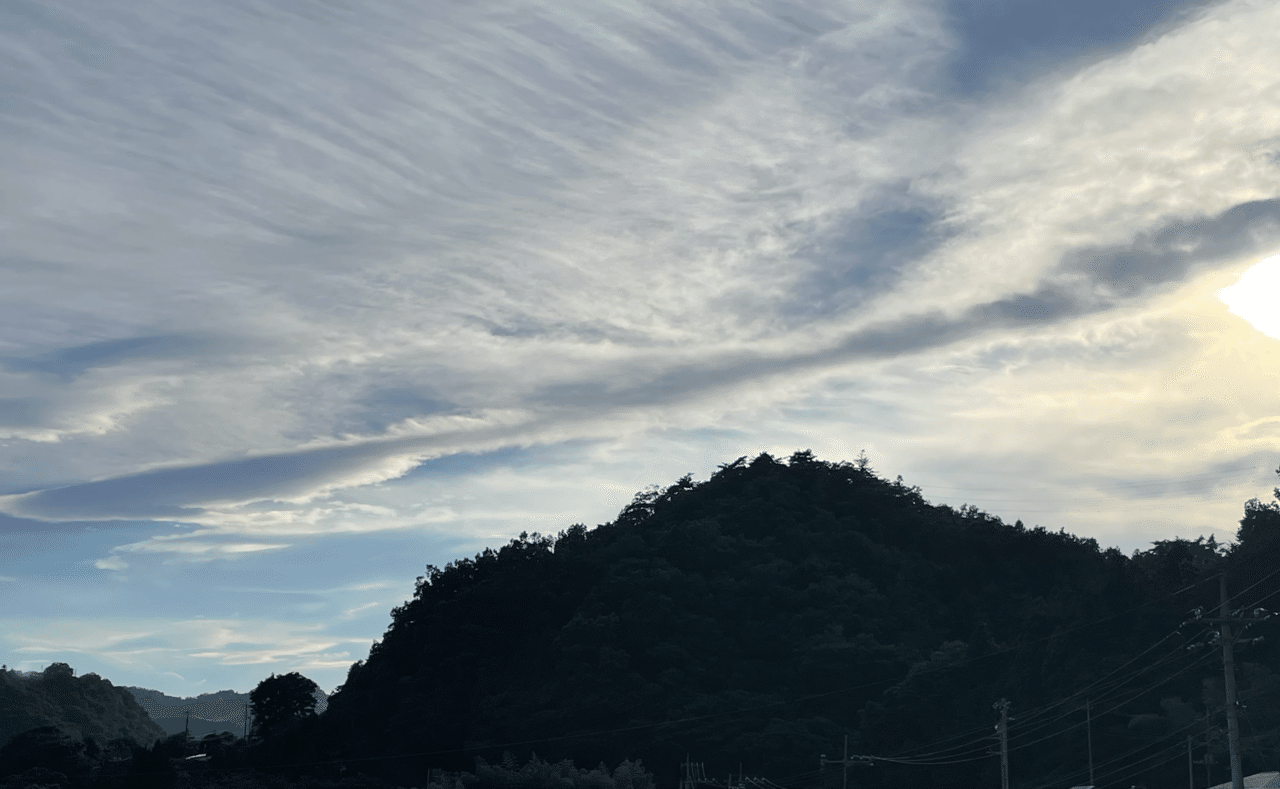 Lily Kobayashi｜note