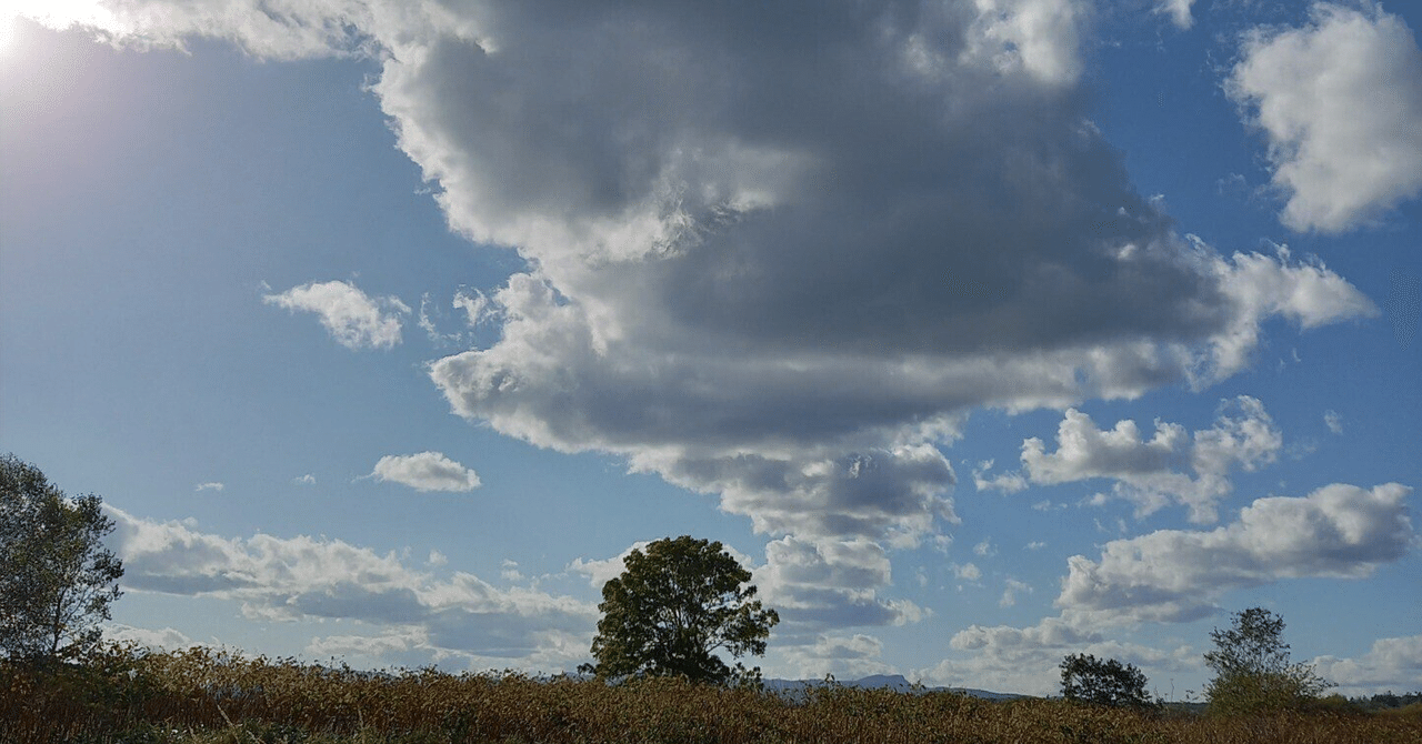 初めてのHAED準備🪡｜えみ@いつも笑顔で