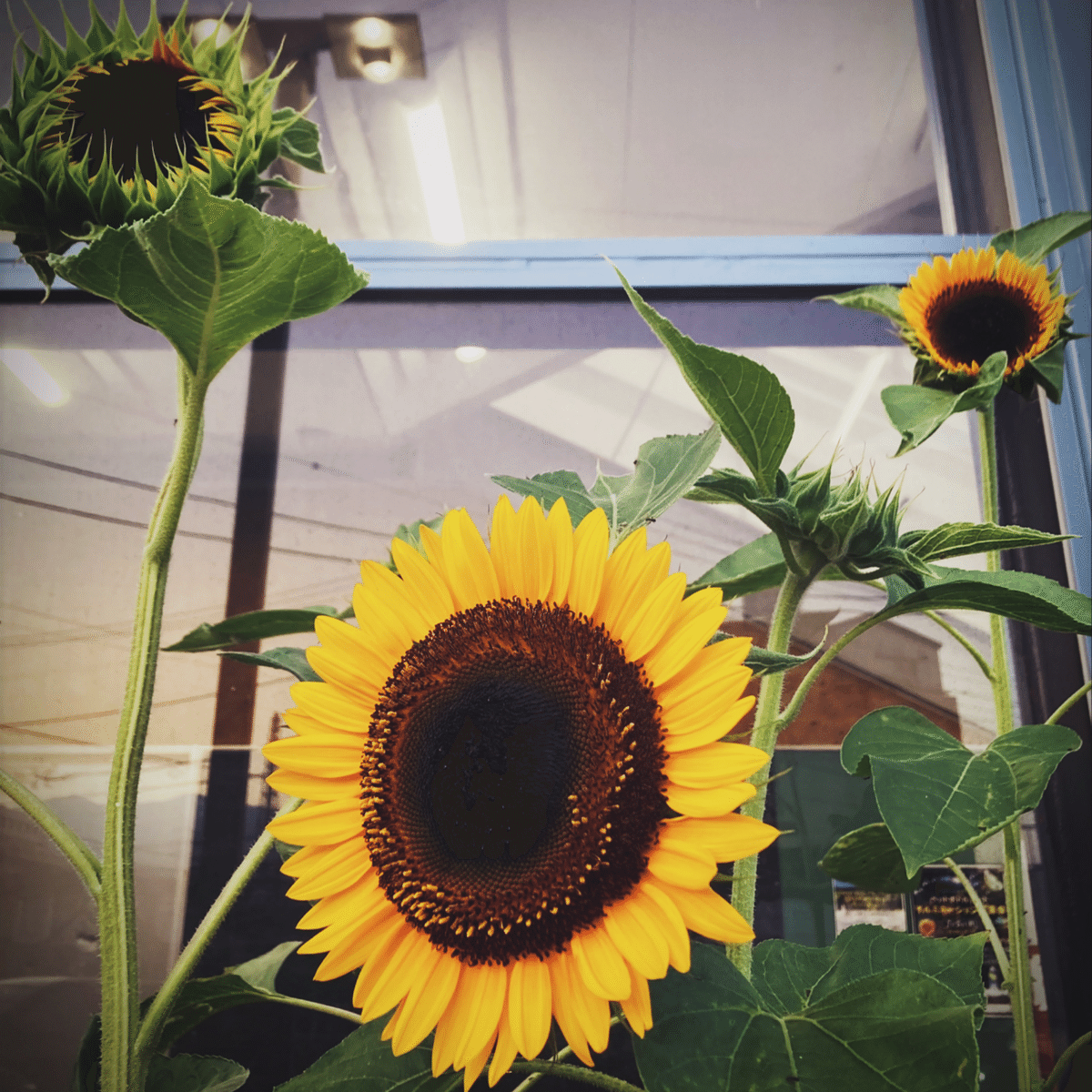 思考のチカラ｜COCO LAB 358