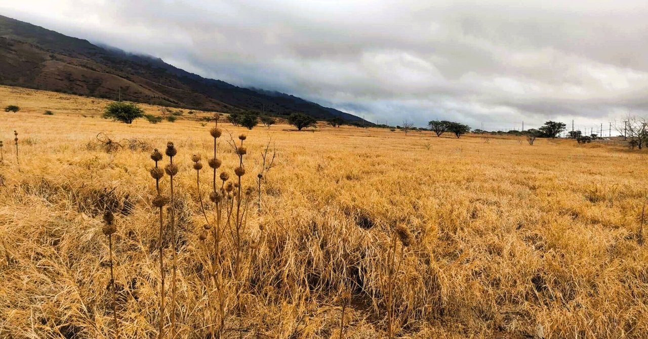 【Day 21】掛け持ち｜Kako