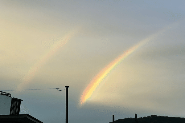 Lily Kobayashi｜note