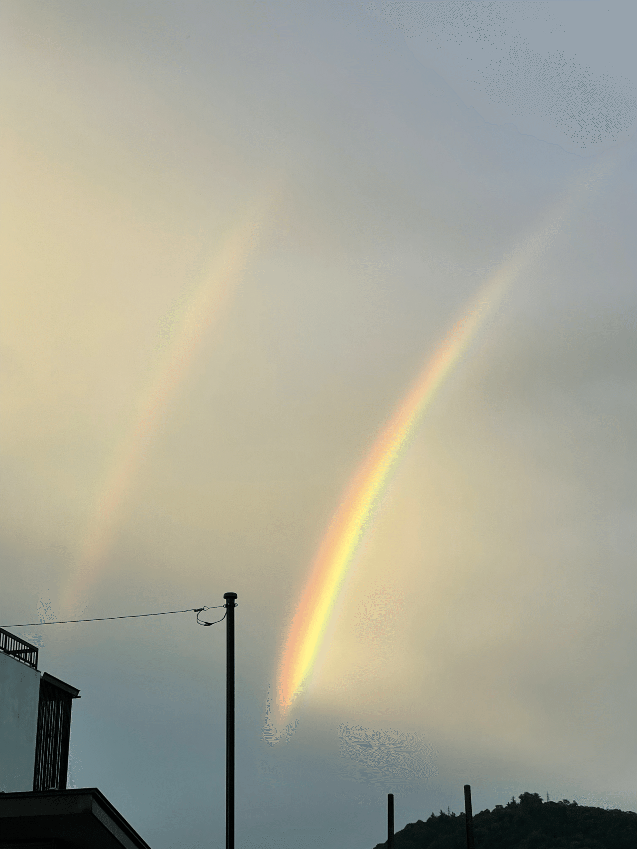 Lily Kobayashi｜note