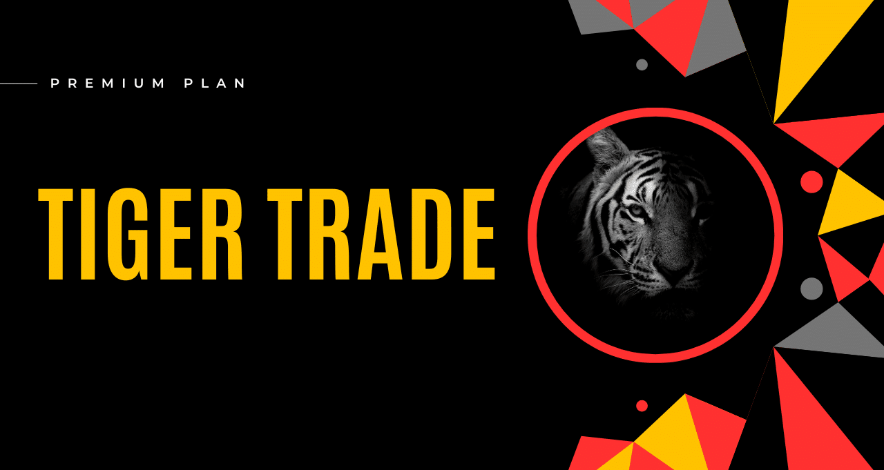 The Gathering of TIGER TRADE｜TIGER TRADE