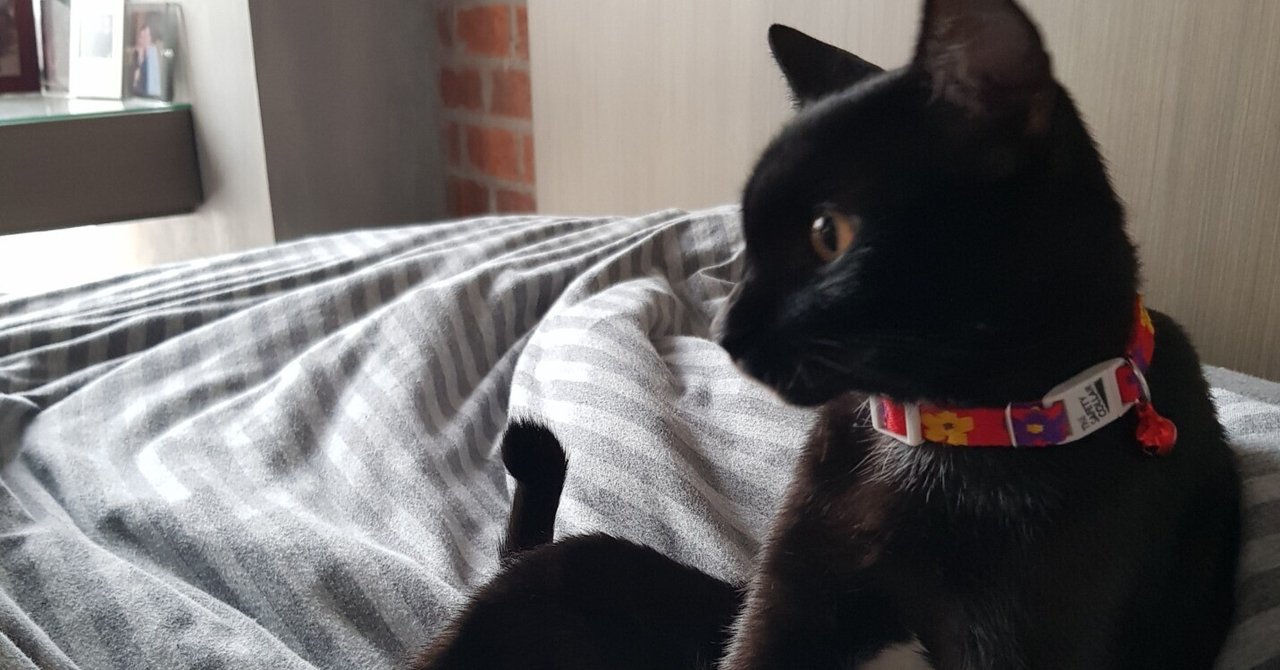 いのちというものを教えてあげよう｜manami tadra