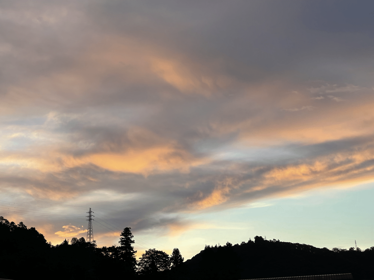 Lily Kobayashi｜note