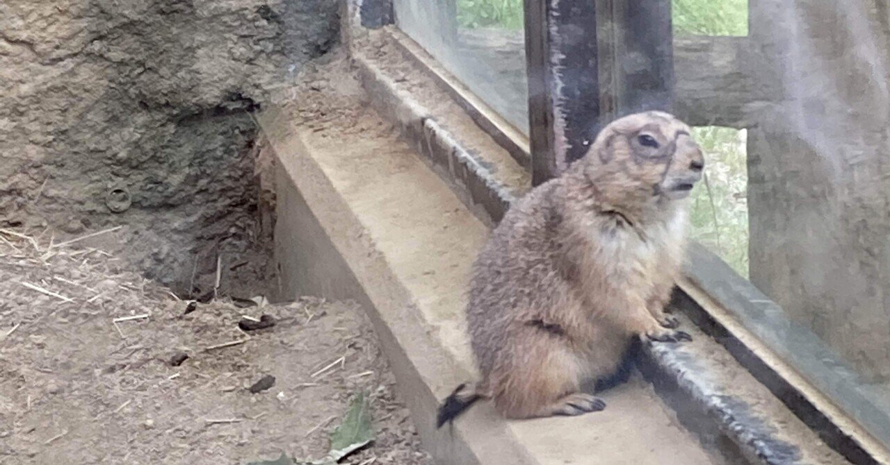 菊𝕜𝕚𝕜𝕦｜note