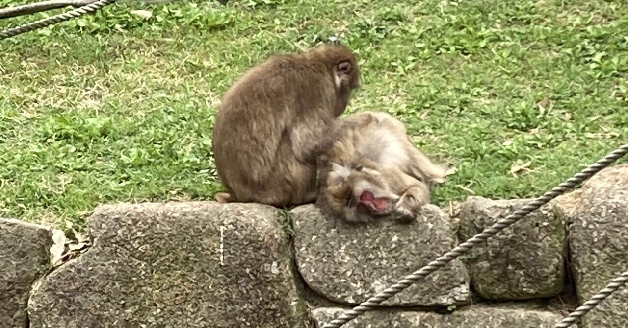 菊𝕜𝕚𝕜𝕦｜note