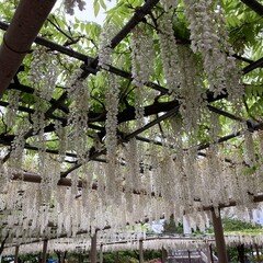 菊𝕜𝕚𝕜𝕦｜note