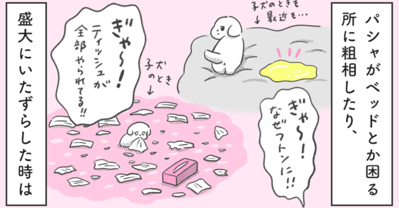 「いぬとのこと」#21 ケンカになる時のこと｜YAYO/NU