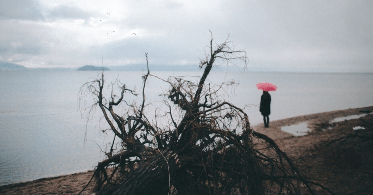 Lava Fun Shape Beauty レッスン｜Sachimo