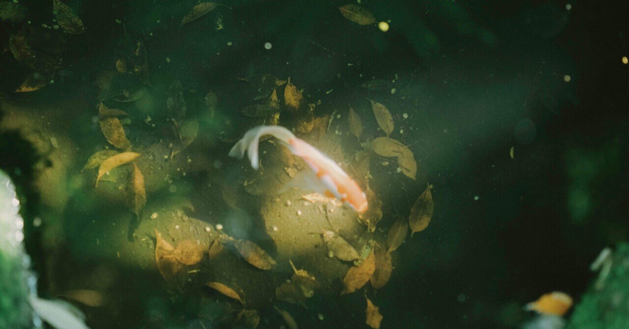 日常（裏面）vol.1｜Re:Tk