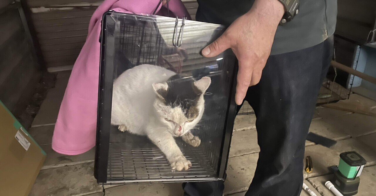 あれから1年｜Hiroyuki.M