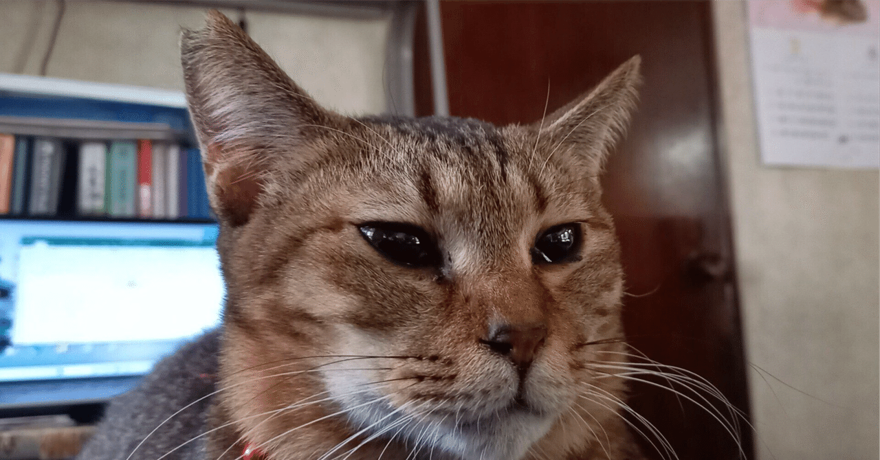 ただの無職がAbema Primeの生放送に出演した話し｜Sato Yuhei