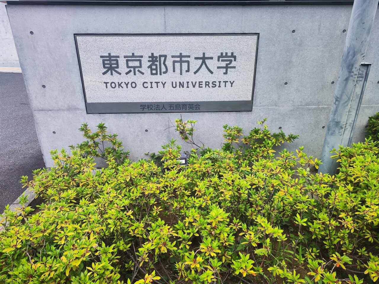 昨日はこちらで登壇させていただきました。 学生の子達も意欲的でめちゃくちゃ刺激をもらいました。 知らないことや、新しい気づきに触れると嬉しいですね。 授業をしながら僕も学ばせていただいています ...