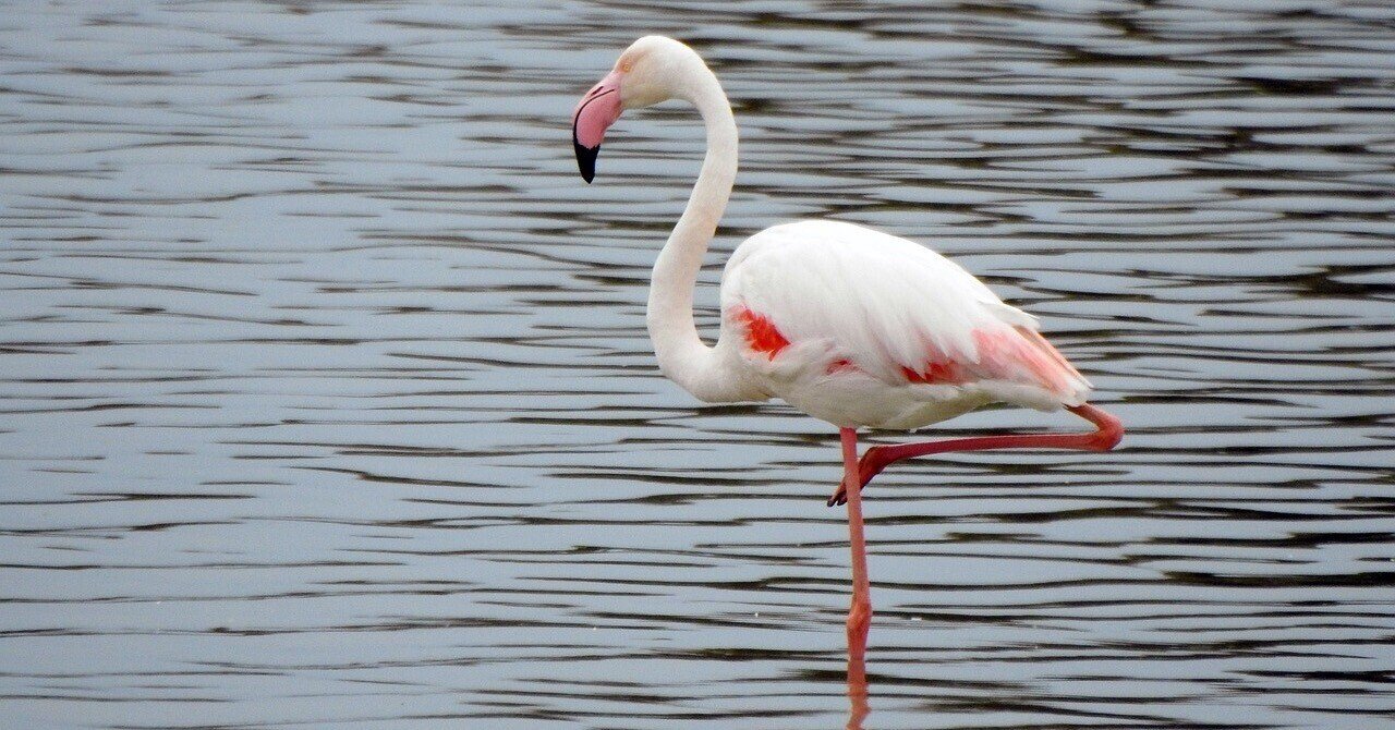 【え？ マジで？…あまりにできないので驚く…】｜IBUKIカズ